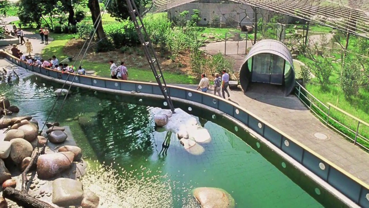 7 Best Parks To visit in Doha Qatar - YouTube