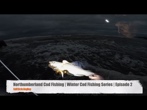 The Cod Keep Coming! | Episode 2 of the Winter Cod Fishing Series ...