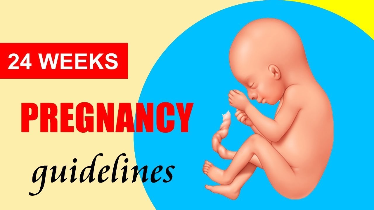24 Weeks Pregnant – Pregnancy Symptoms and Baby Kicking || Baby Size ...