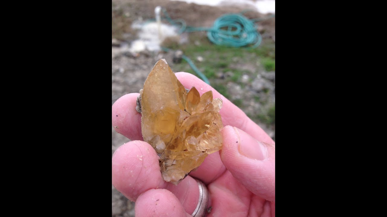 *Rucks Pit, Fort Drum Mine* Okeechobee, Florida (Calcite Replaced Clam ...