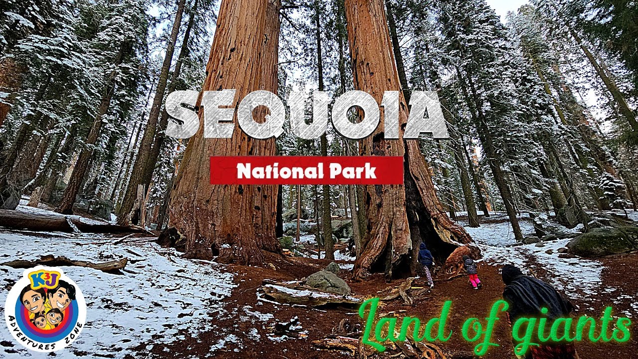 Sequoia National Park land of giants winter snow adventures - YouTube