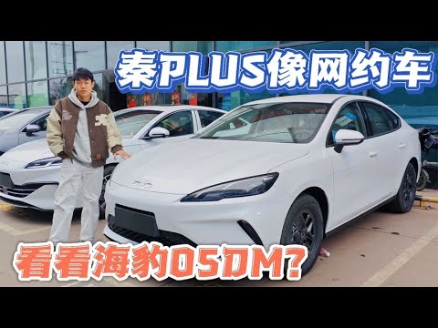 秦PLUS像网约车，看看7.98W的海豹05DM？ - YouTube