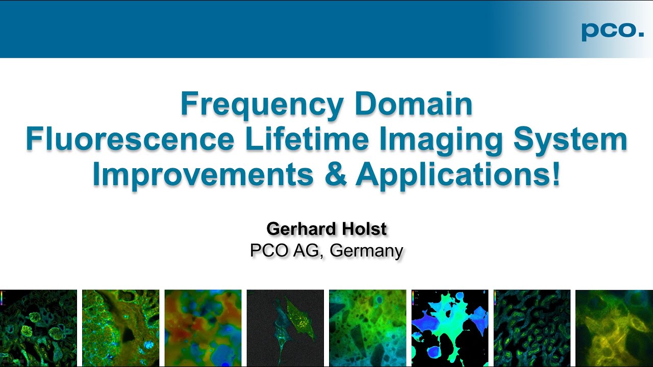 FD-Fluorescence Lifetime Imaging System Improvements & Applications ...