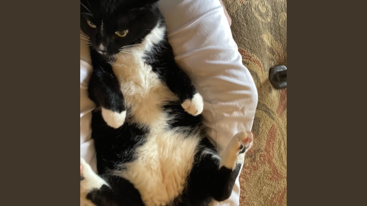 Trains (feat. Hinshi) - YouTube