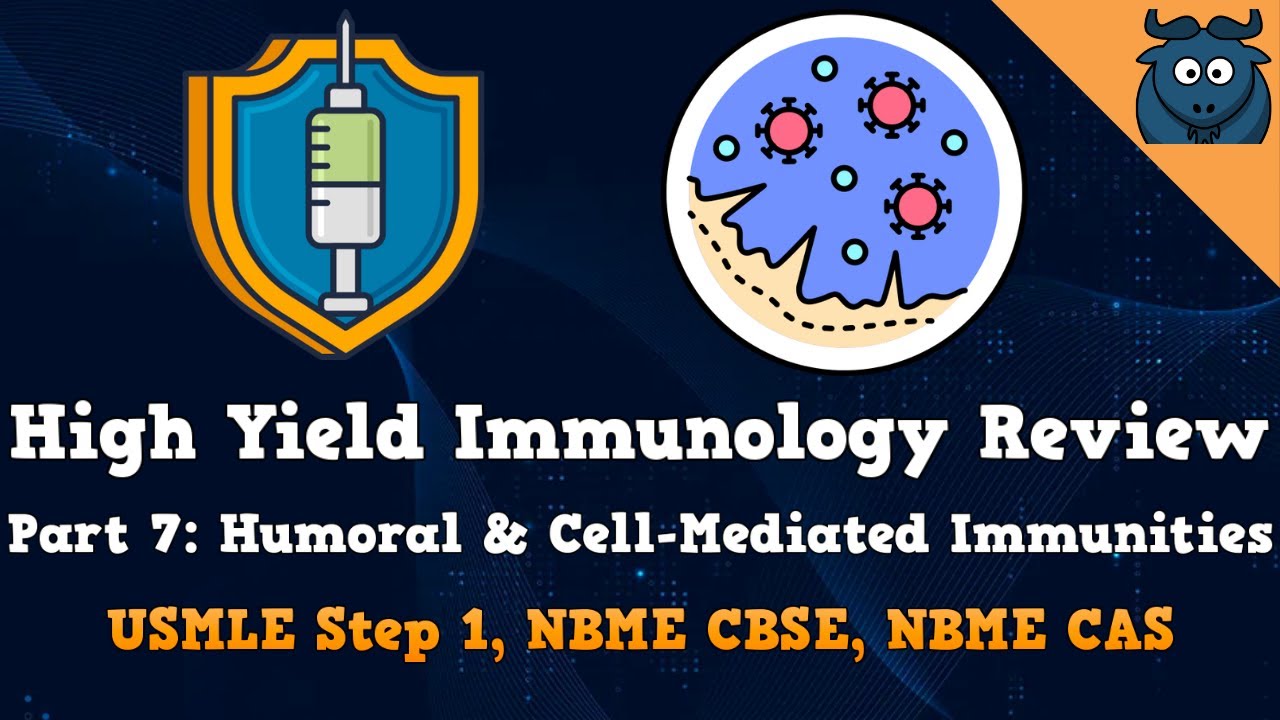 High Yield Immunology Review Part 7: Humoral & Cell Mediated Immunity ...