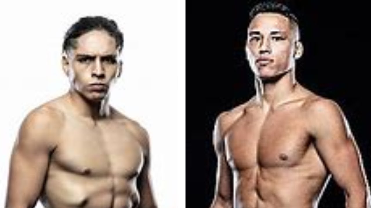 UFC KANSAS: Timmy Cuamba vs Roberto Romero - YouTube