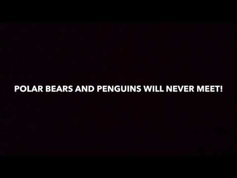 POLAR BEAR VS PENGUIN! (EPIC)