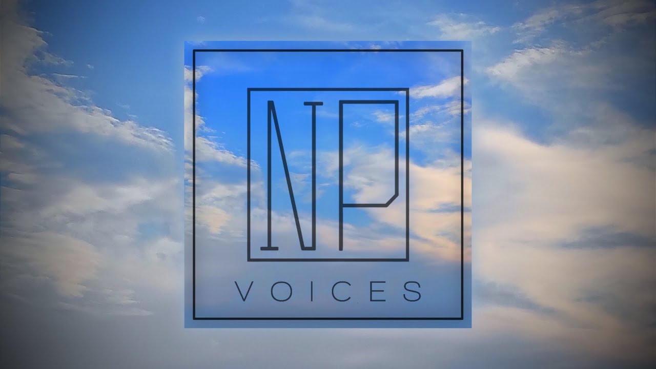 Nemanja Pavlovic - Voices (NP Guitar) - YouTube Music