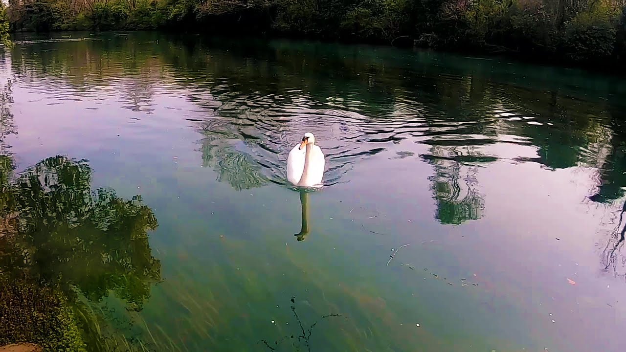 Lungo il Fiume Sile [ TREVISO ] Le Alzaie | Parco Regionale Naturale ...