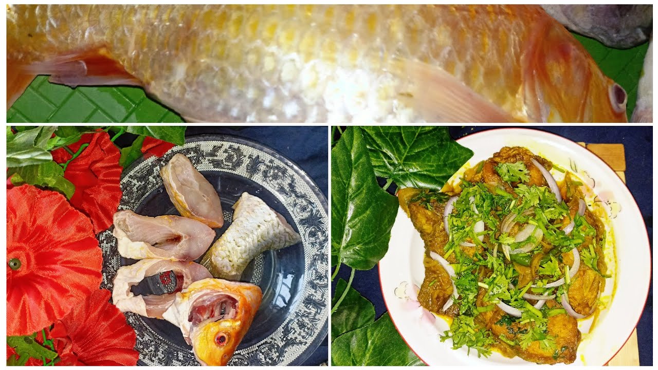 সোনালী কার্প মাছ ভুনা রেসিপি। Curp Fish Curry। Golden Karfu mach vhuna ...