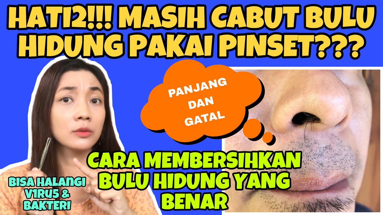 HATI2 JANGAN ASAL CABUT!!! CARA MEMBERSIHKAN BULU HIDUNG! PENTING MELINDUNGI DARI VIRUZZ DAN ...