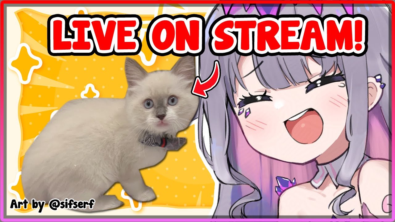 [ENG SUB/Hololive] John Cat finally show himself on Biboo's livestream ...