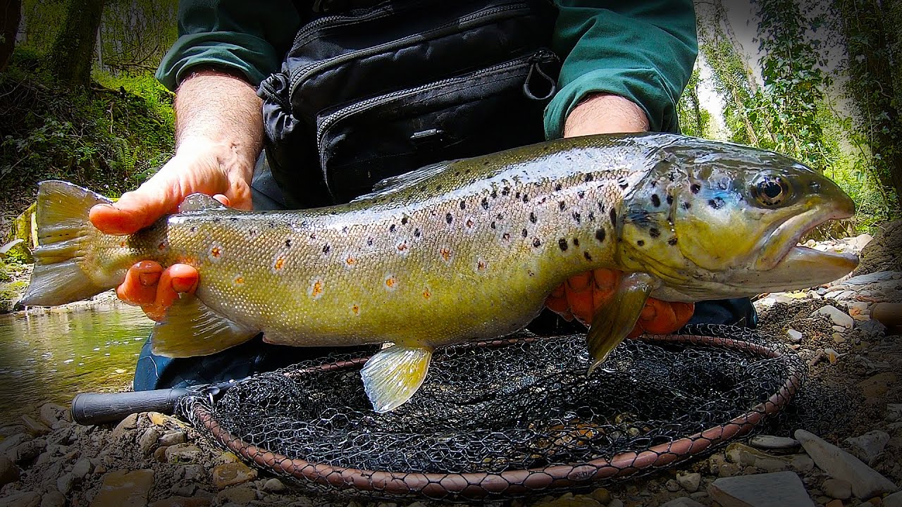 fario.episodio90 - YouTube