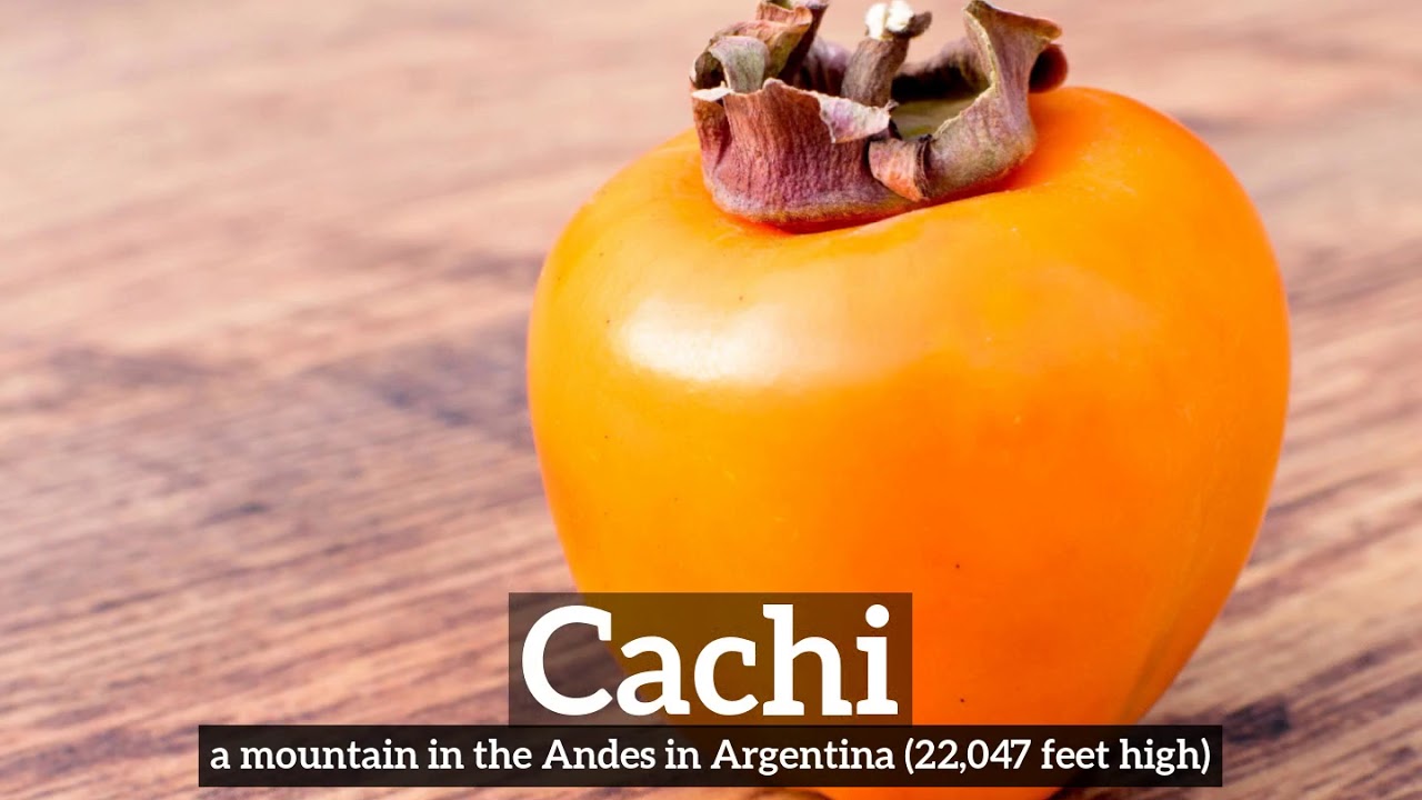 How to Say Cachi in English? | How Does Cachi Look? | What is Cachi ...