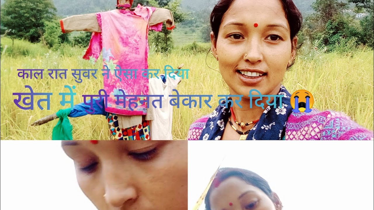 He bhgwan ye jangli suwar ne to sab khtam kr deyaKya fayda khiti krne ...