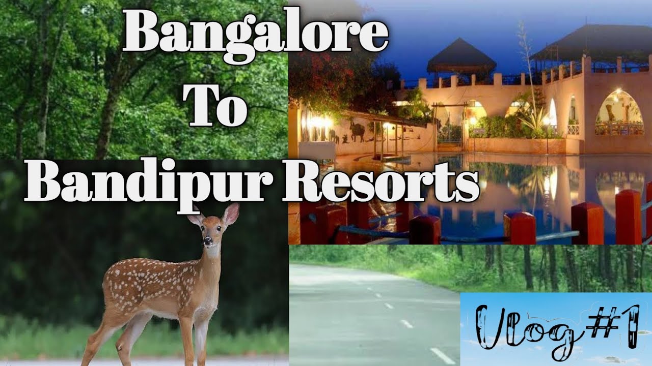 Road Trip Bangalore to Bandipur forest via Mysore Day 1 my frist travel ...