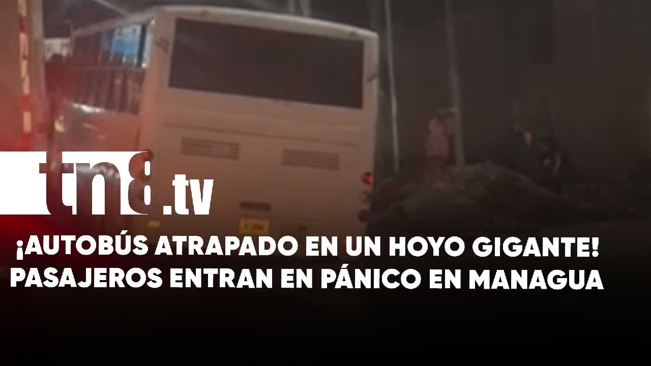 ¡De película! Autobús varado en manjol: Una escena surrealista - YouTube