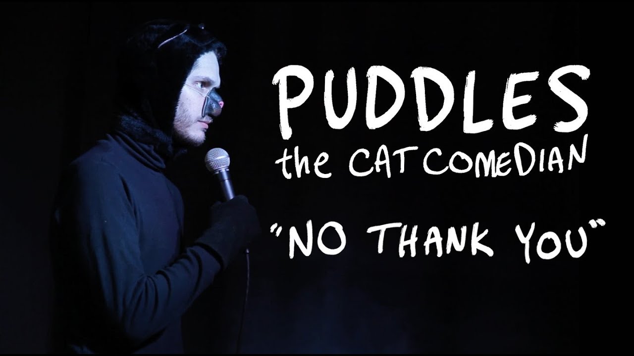 Puddles the Cat Comedian: No Thank You - YouTube