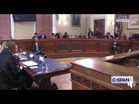 President and CEO of Dominion Voting Systems John Poulos - YouTube
