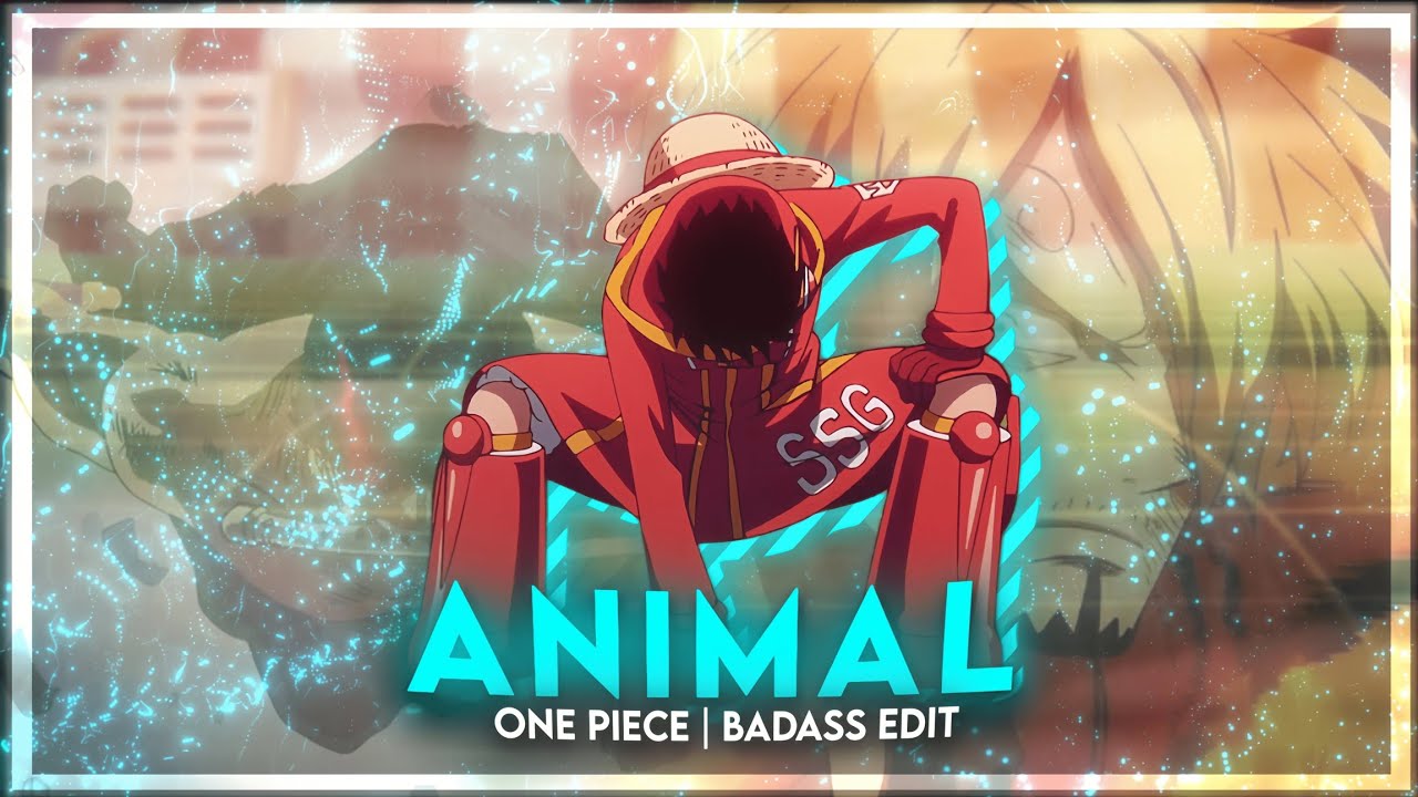 Animal - One piece [ AMV ] - YouTube