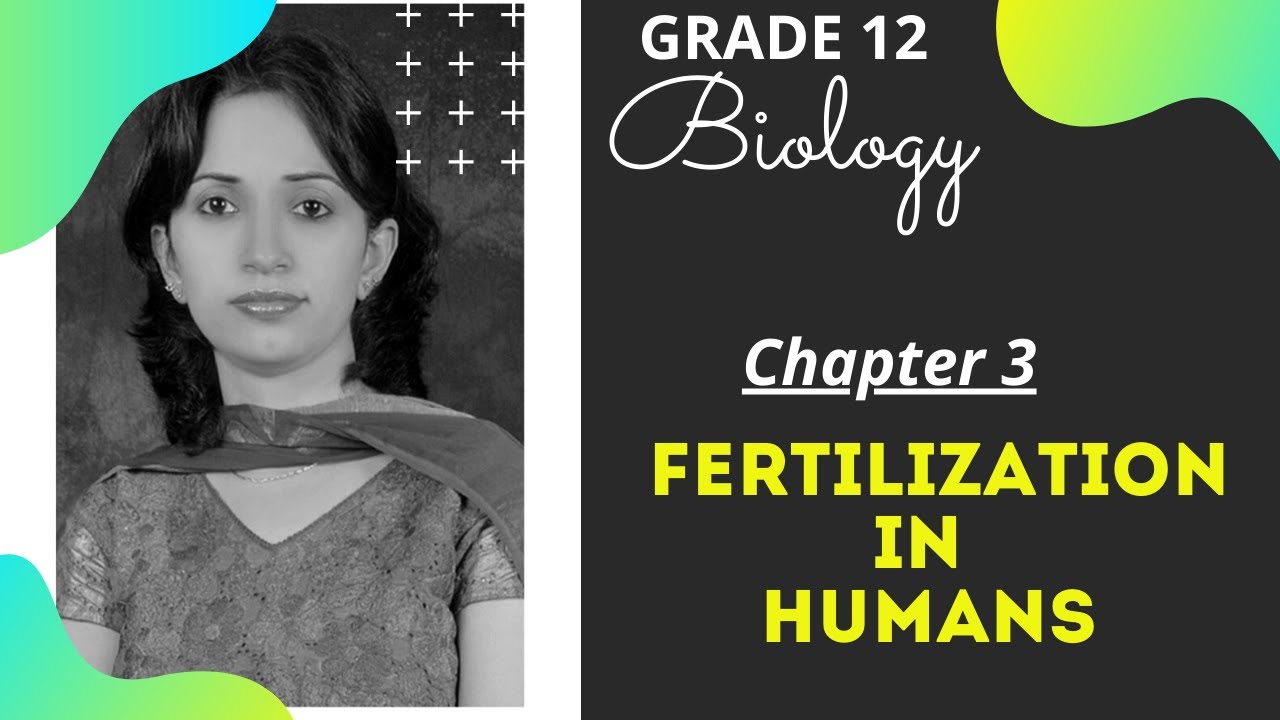 Fertilization in Humans I Human Reproduction I Chapter 3 I Class 12 ...
