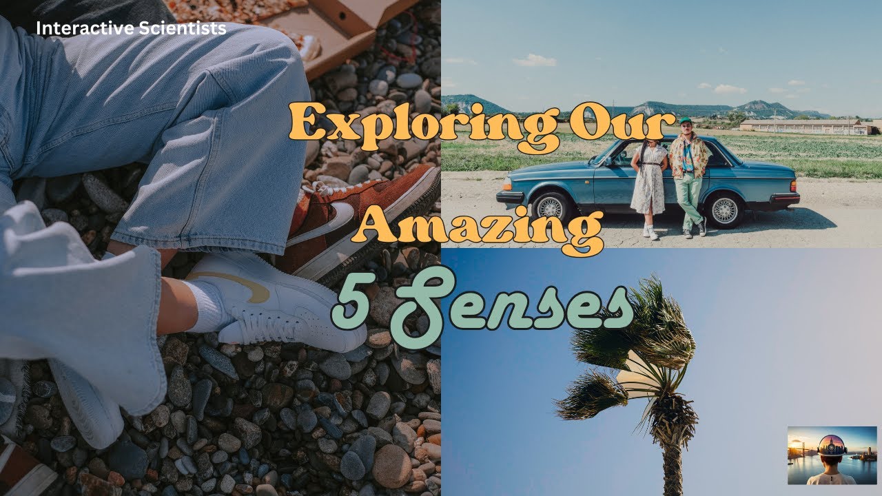 Get A Behind-the-scenes Look At How Our Five Senses Help Us Experience ...