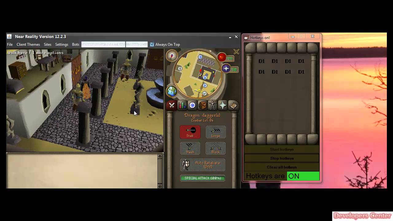 Near Reality [Auto item switcher] For pking - YouTube