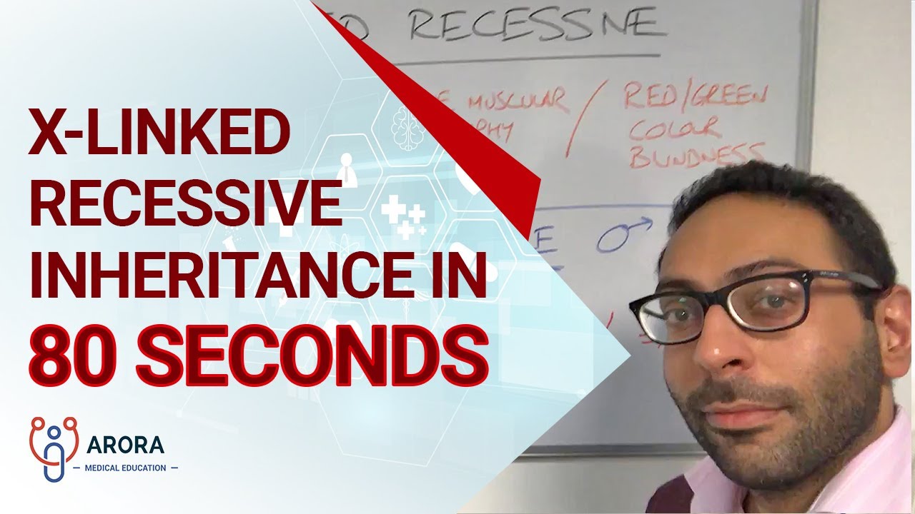 X-linked Recessive inheritance in 60 seconds - YouTube