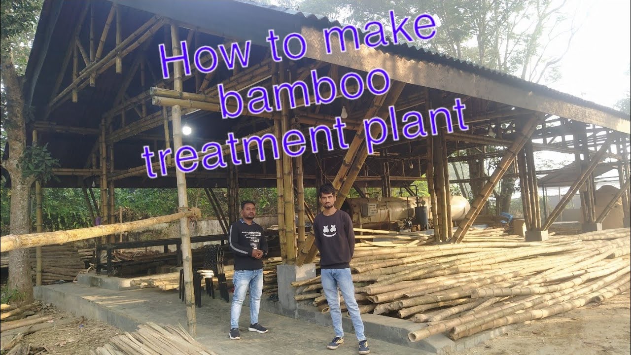 How to make bamboo treatment plant prosses - YouTube