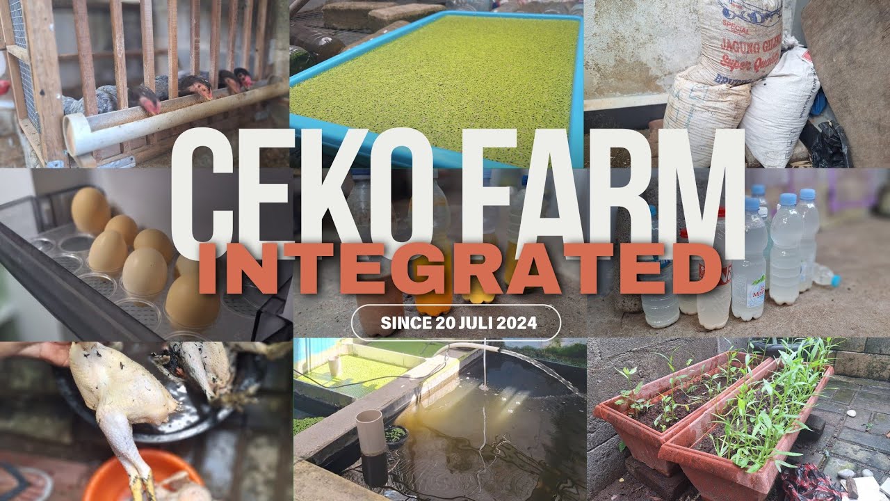 CEKO FARM - YouTube