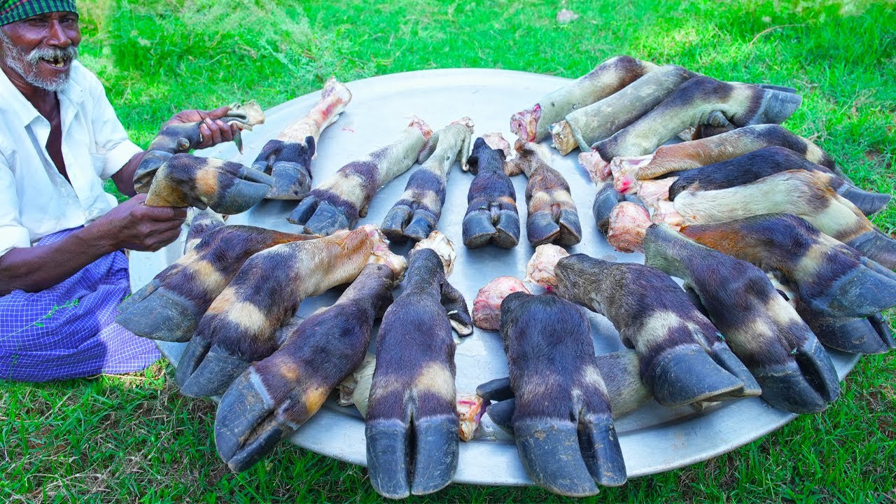 MONSTER WILD BULL LEG SOUP RECIPE | Traditional village food - YouTube