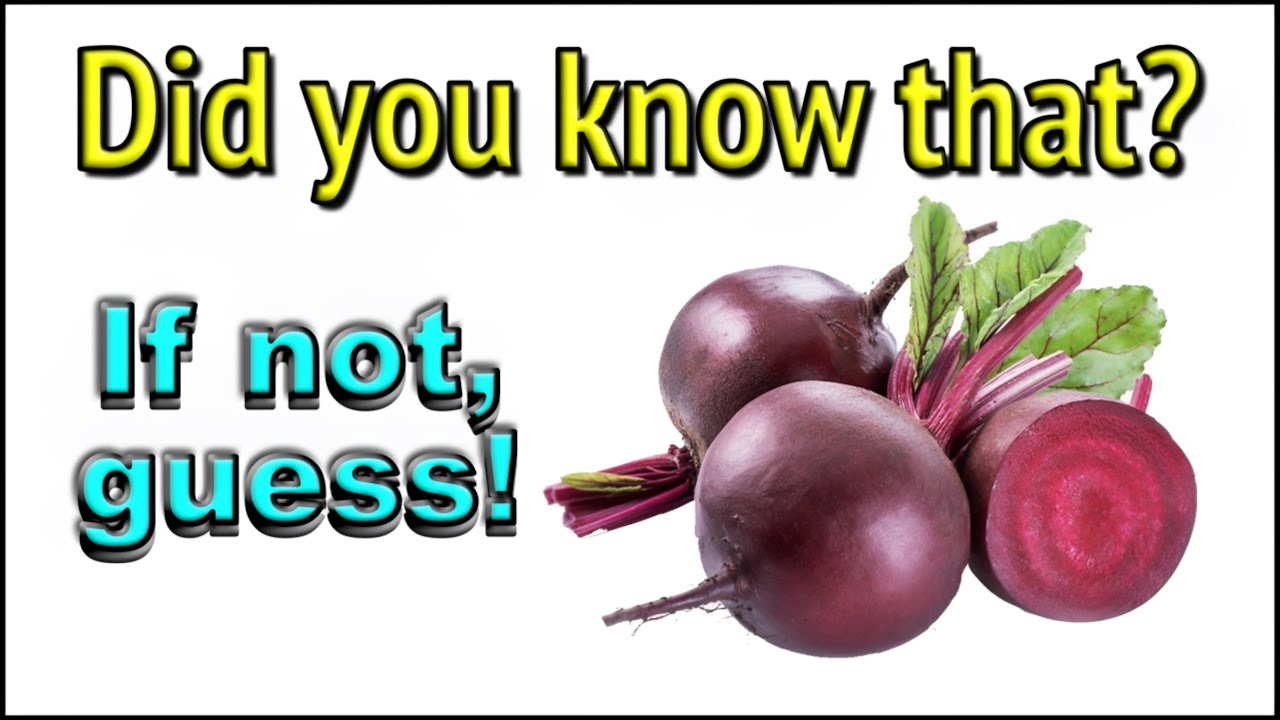 Beetroot! Guessing Game: Expand your general knowledge with our ...