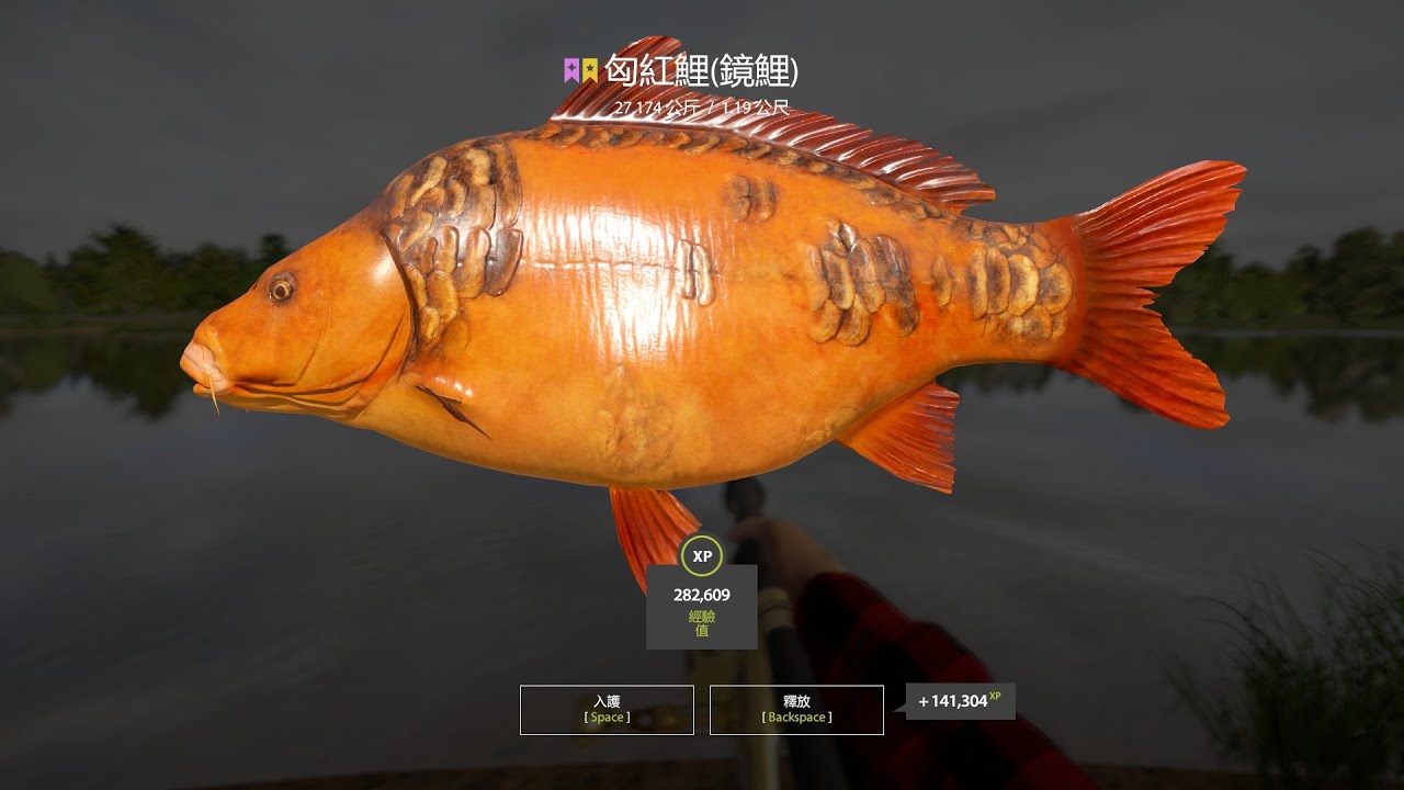 Russian Fishing 4｜The Amber Lake－Trophy Starvas Red Carp - Mirror｜琥珀湖 ...