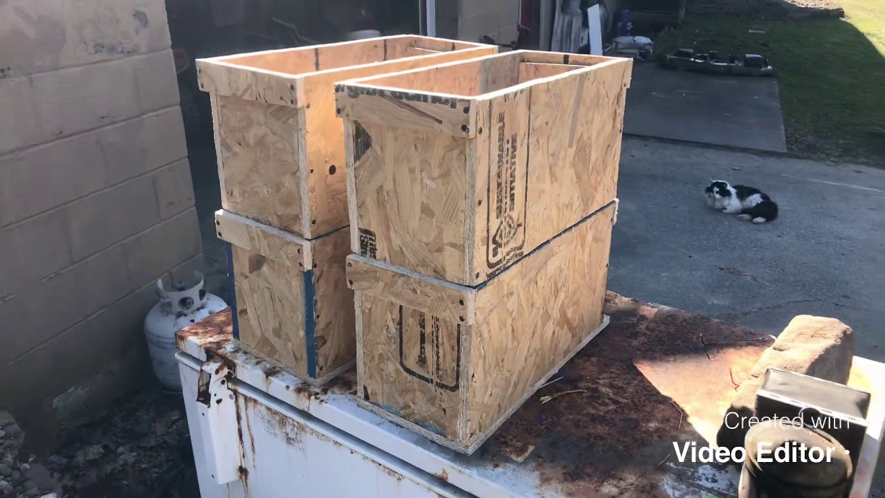 My kids painting my two frame mating Nucs - YouTube