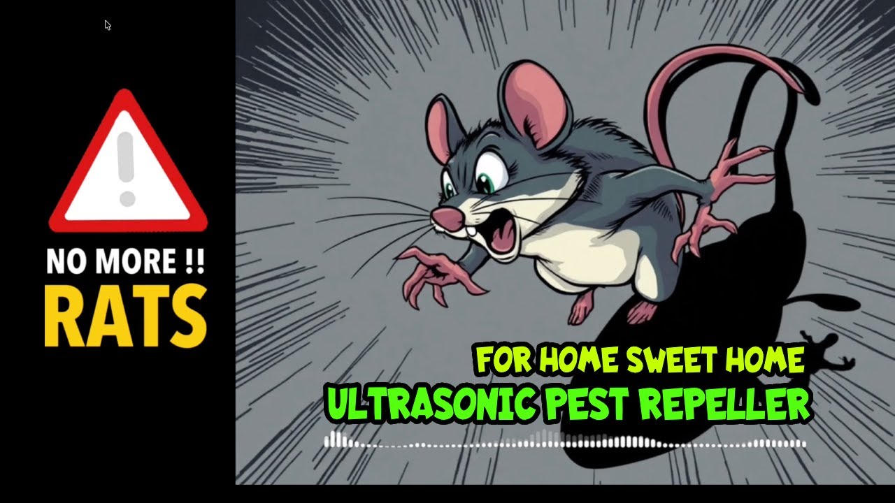 Ultrasonic Anti Rat Sound 10 Hours | Silent Protection for Home 🐀🔇 ...