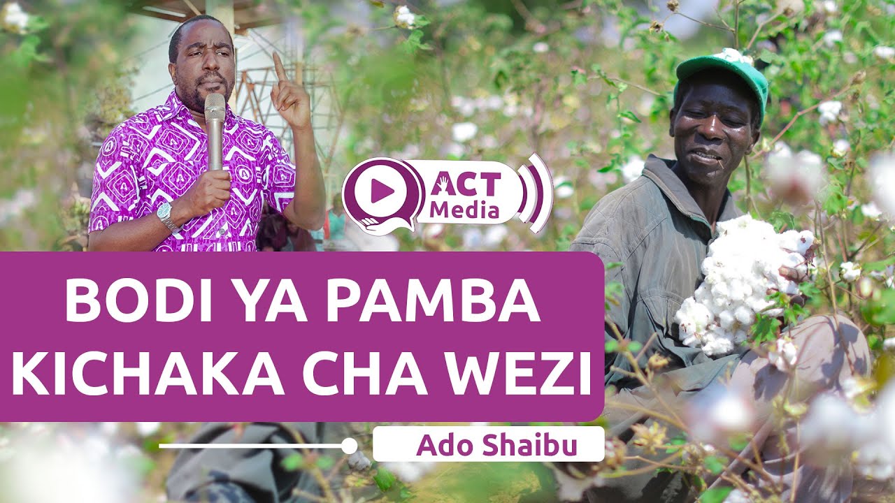 Ado Shaibu: Bodi ya Pamba Kichaka cha Wezi wa Mapato ya Wakulima - YouTube