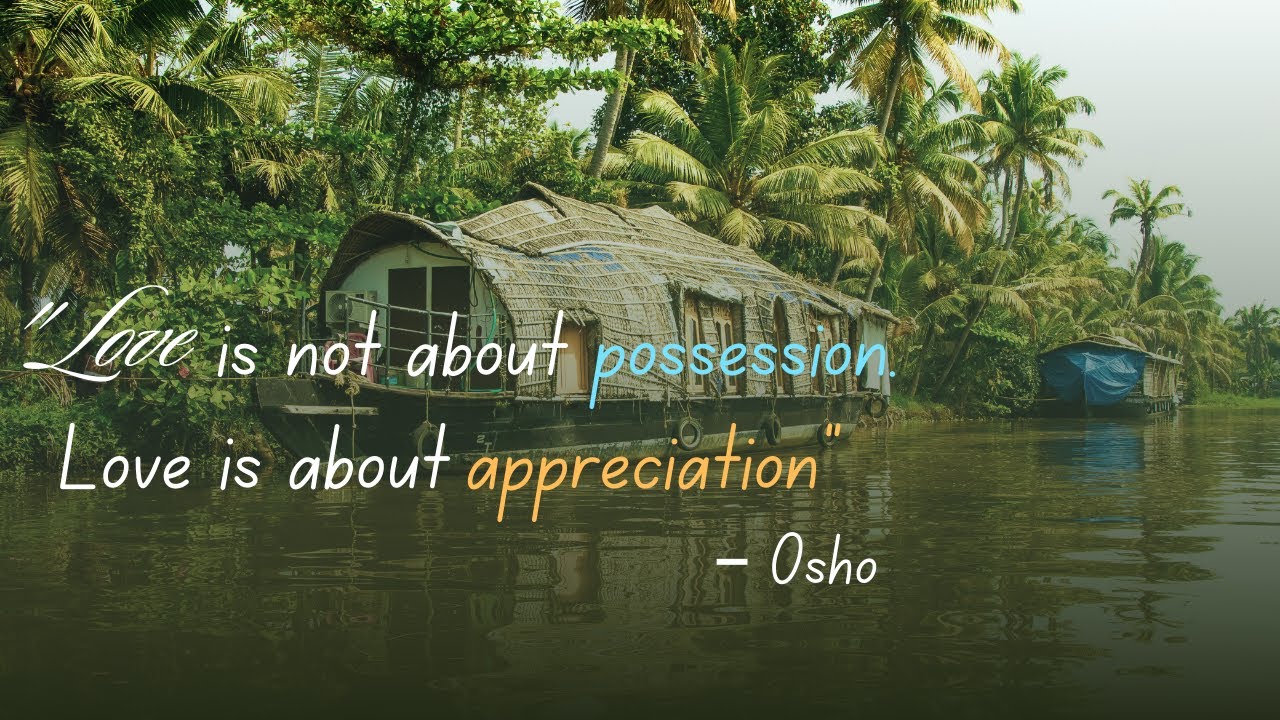 50 Life-Changing Love & Life Quotes to Inspire Your Journey | Stellar ...