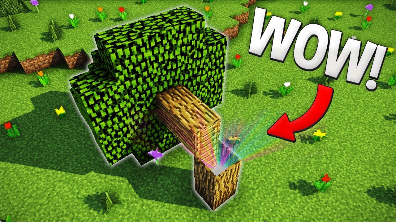 MINECRAFT: COMO HACER SUPER ENTRADA SECRETA EN UN ÁRBOL! | PARA TU CASA ...