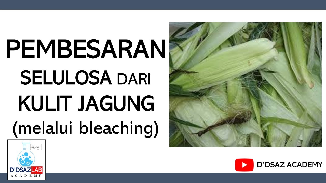 Corn Husk Cellulose Fiber through the bleaching process - YouTube