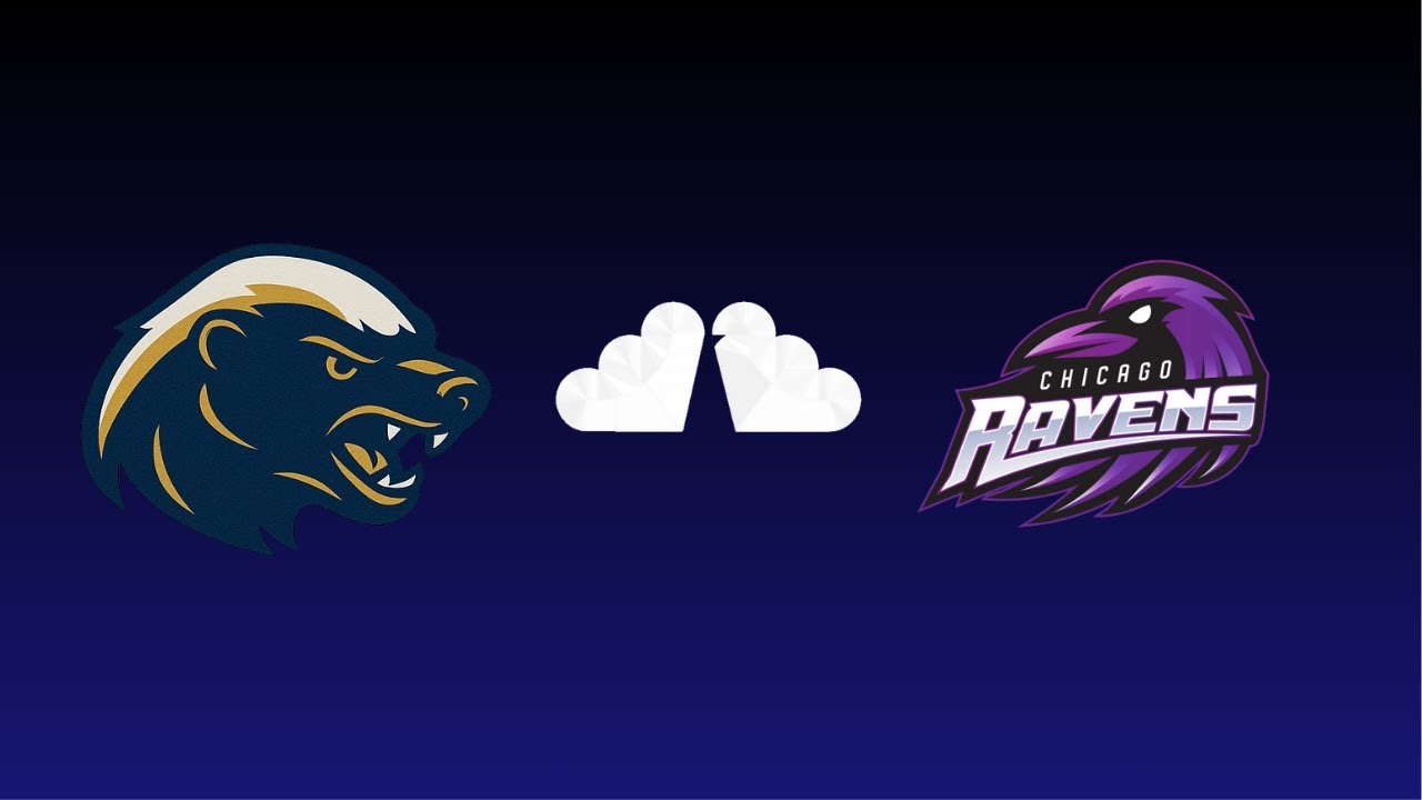HCBB on PBN || Milwaukee Honey Badgers vs Chicago Ravens - YouTube