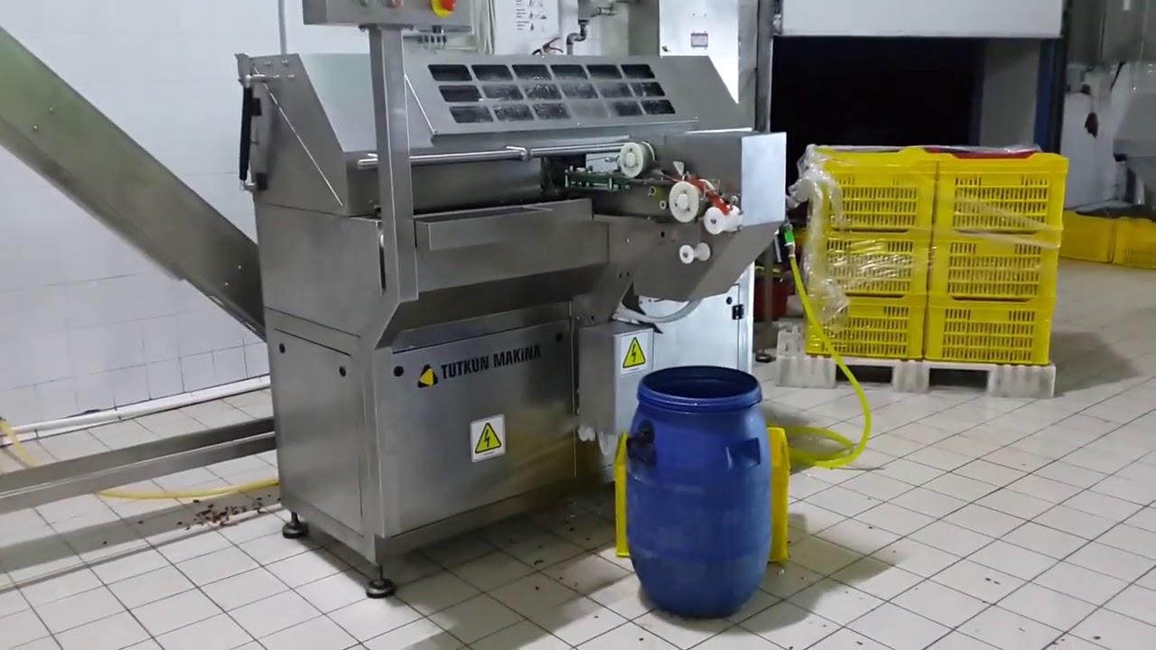 olive pitting and pimento stuffing machine - YouTube