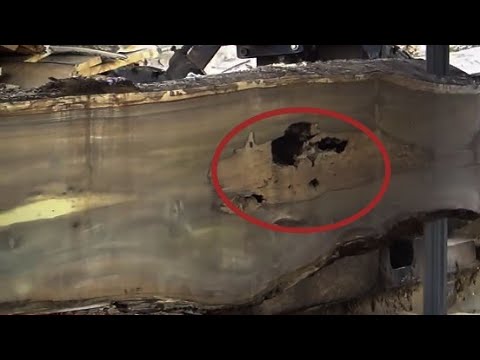 Bikin Panik,,kayu jati tua ini Menyaingi Tambang Emas ! Omsetnya Mengalir Deras Seperti Air Disungai