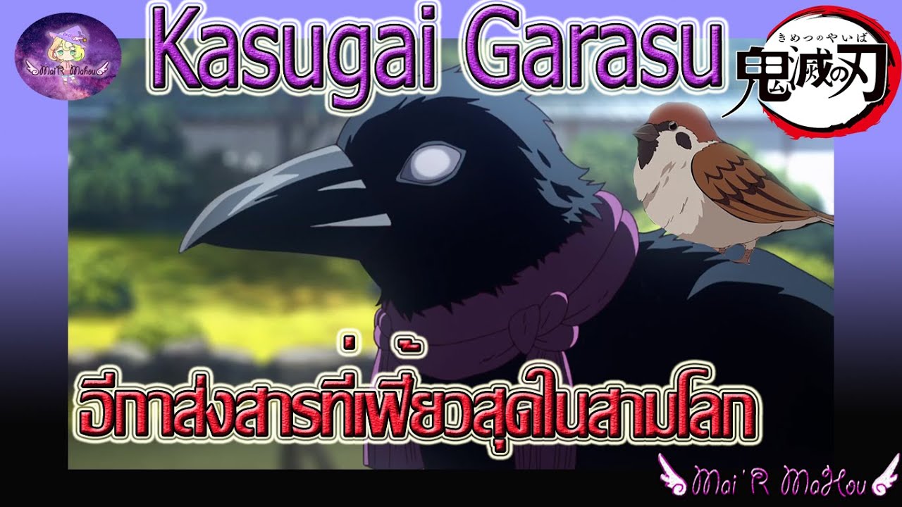 🦅 อีกาส่งสาร 🐦 ข้อมูล+มัดรวมดาวเด่นตัวไหนแปลกๆ ⭐️ Kasugai Garasu 🗡ดาบ ...