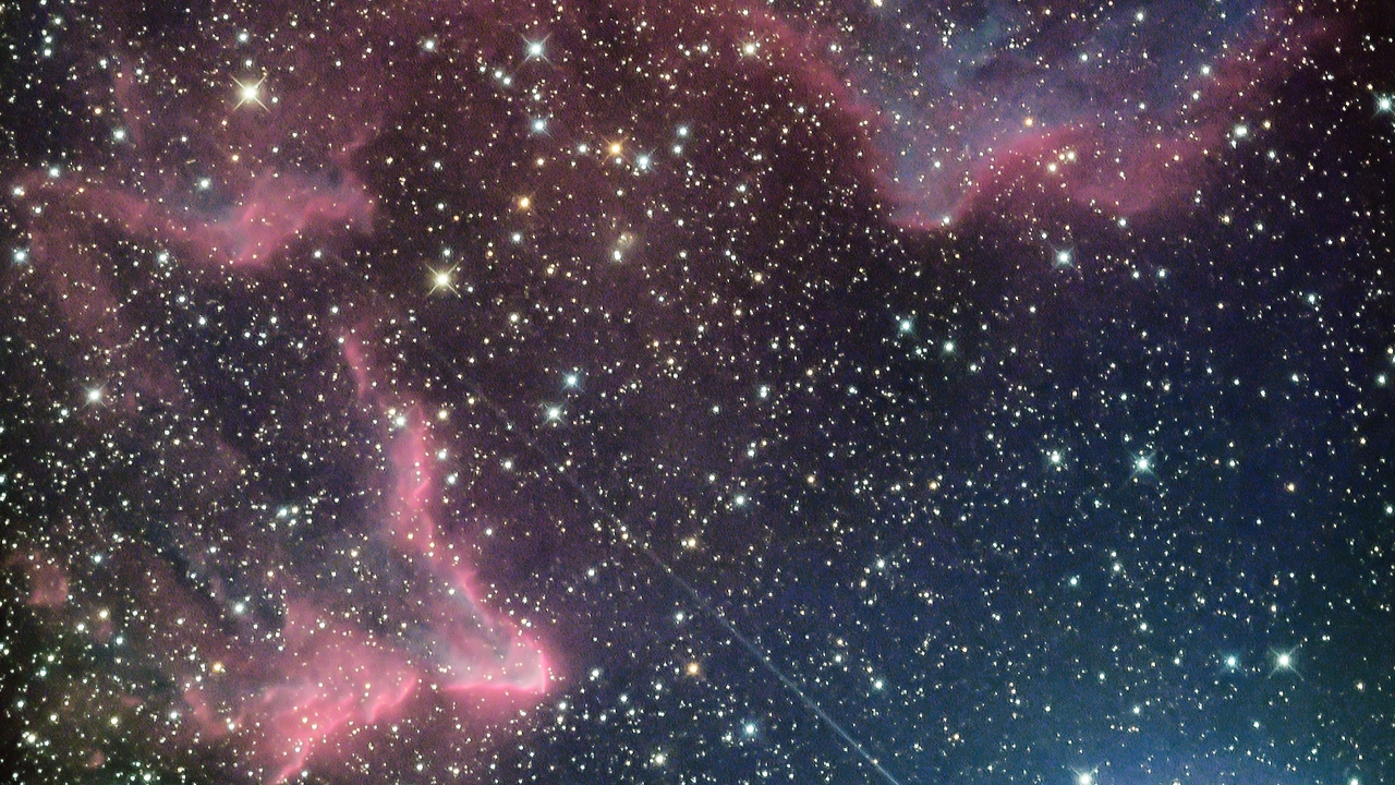 Pokemon SW/SH Stream - YouTube