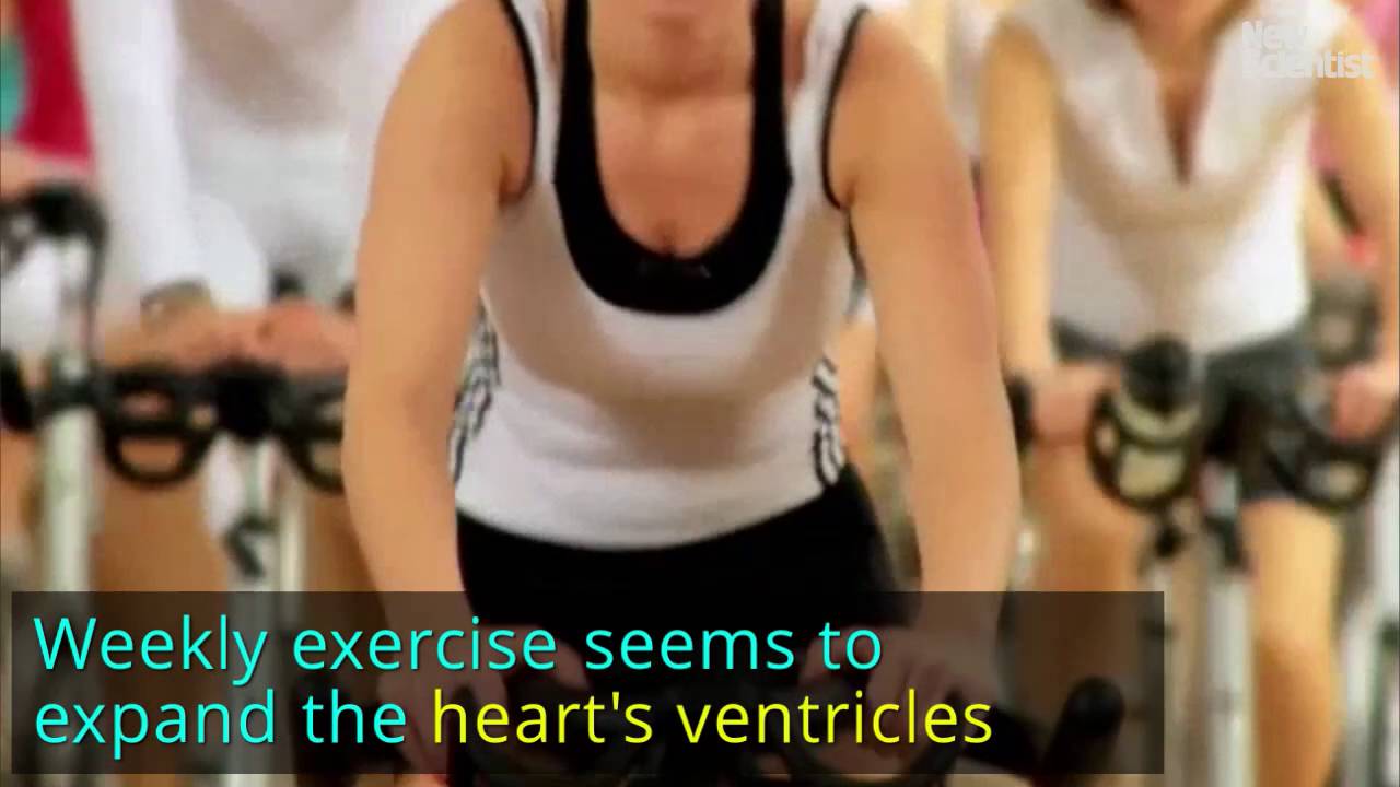 Moderate exercise makes your heart grow bigger - YouTube