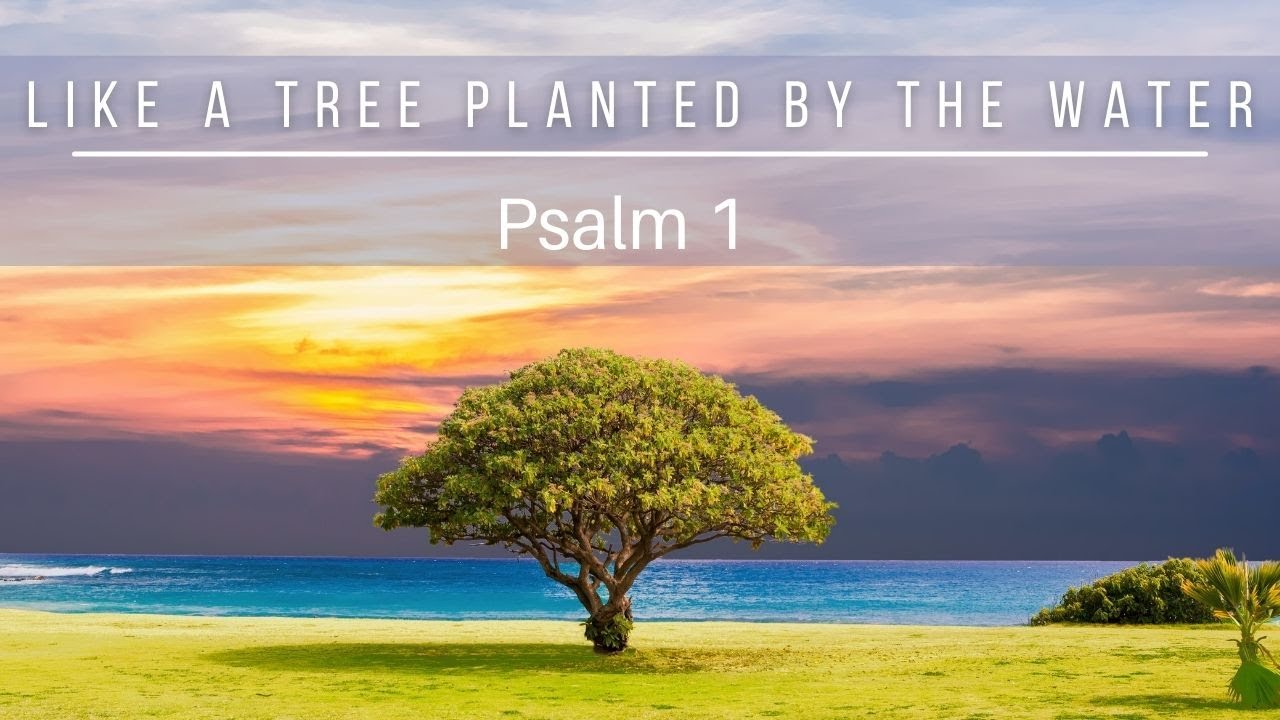Psalm 1: Like a tree planted by the water - YouTube