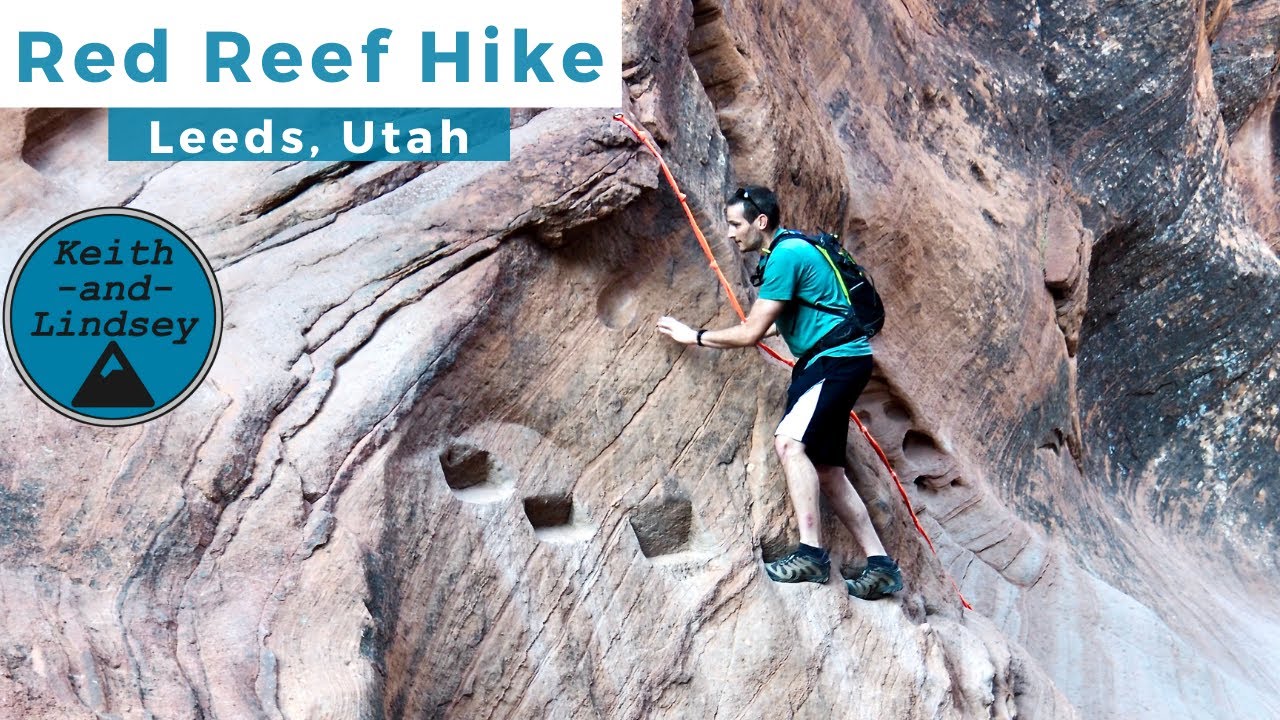 Red Reef Hike with Moki Steps // Zion Trip 2019 - YouTube