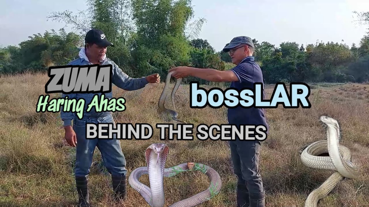BOSS LAR & ZUMA HARING AHAS BEHIND THE SCENES - YouTube