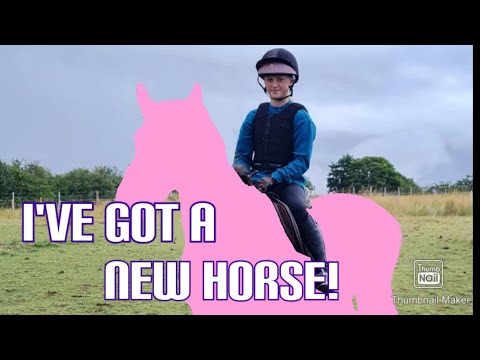 I've Got A New Horse | My 1st Horse | 1st jumping Lesson | 1st Cross ...