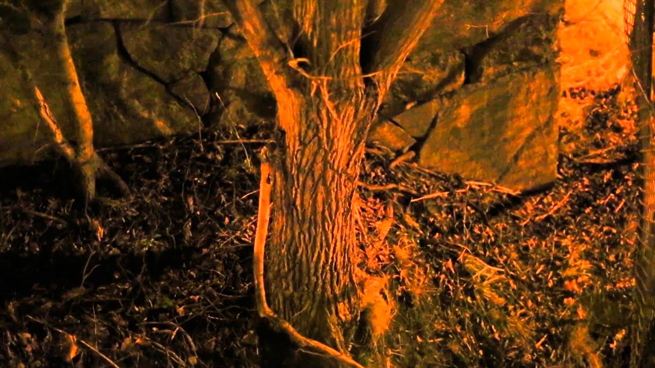 HUNT - THIS CANNOT BE (Official Video) - YouTube Music